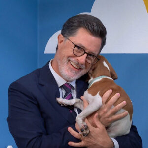 Stephen Colbert Net Worth, Bio, Wiki, Age, daughter - Megastarsbio.com